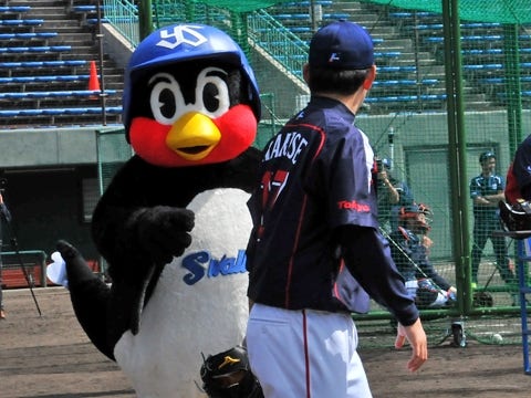 つば九郎がグラウンドに | フォトギャラリー | 東京ヤクルトスワローズ