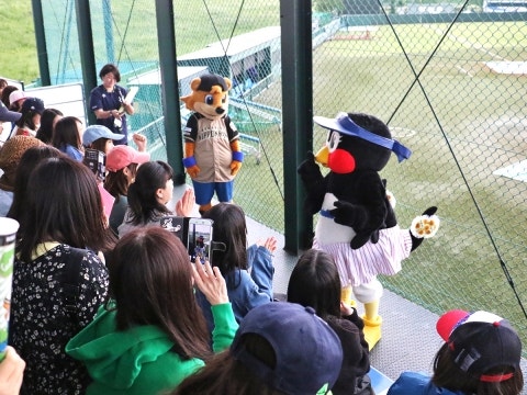 つばみ＆カビ―ショー | フォトギャラリー | 東京ヤクルトスワローズ